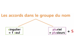 Les accords dans le groupe du nom (RSEEG CE1) 9 exercices