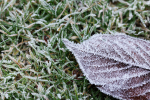 Fenomene climatice