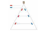 La pyramide féodale