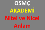 Nitel / Nicel Anlamlı Sözcükler-3