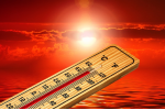 homoiotherm - poikilotherm