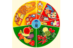 Food Wheel