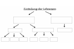 Systematik der Lebewesen