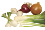 A káposzta és a hagyma