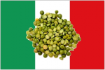 Legumi (Vero / Falso) Italiano