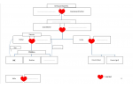 The family tree : vocabulary words