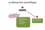 La démarche scientifique