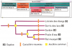De la classification scientifique emboitée à un arbre de parenté
