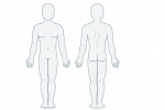 General body parts