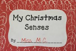 Christmas 5 senses book