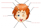 Parts of the face