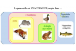 La classification emboitée
