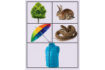 Spotlight 2 class English Alphabet Letters Rr - Vv