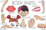 Parts of body