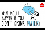 What would happen if you didn't drink water?