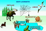 Selgroogsed loomad, 3.klass