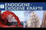 Exogene und endogene Kräfte