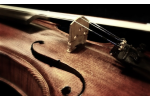 Trova le parti del violino
