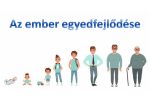 Az ember egyedfejlődése